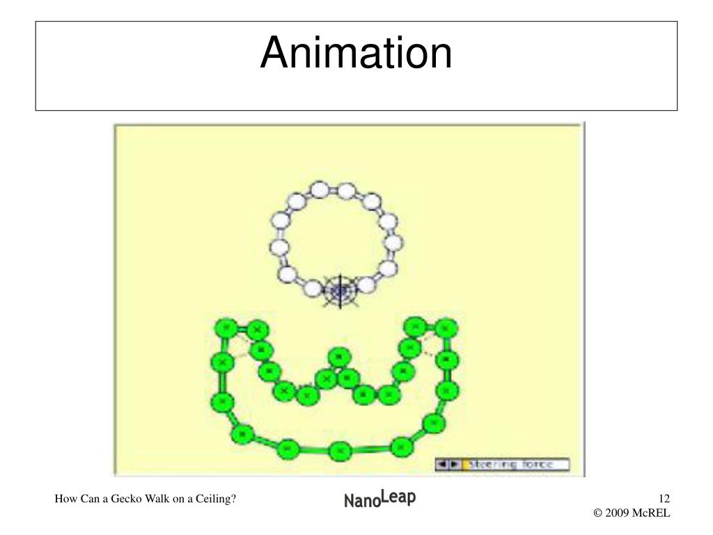 PPT - Physical Science Lesson 8 How Can a Gecko Walk on a Ceiling ...
