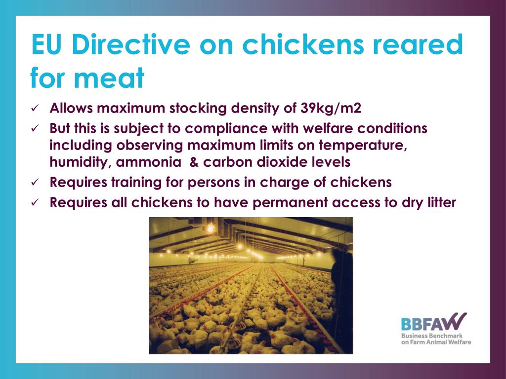 PPT - Farm Animal Welfare: The Regulatory and Policy Landscape ...
