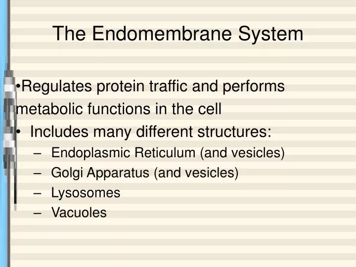 PPT - The Endomembrane System PowerPoint Presentation, free download ...