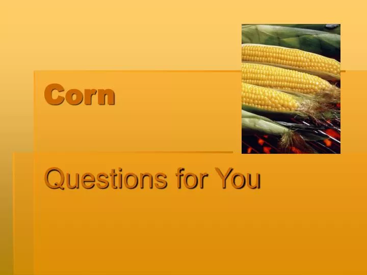 PPT - Corn PowerPoint Presentation, free download - ID:3122047