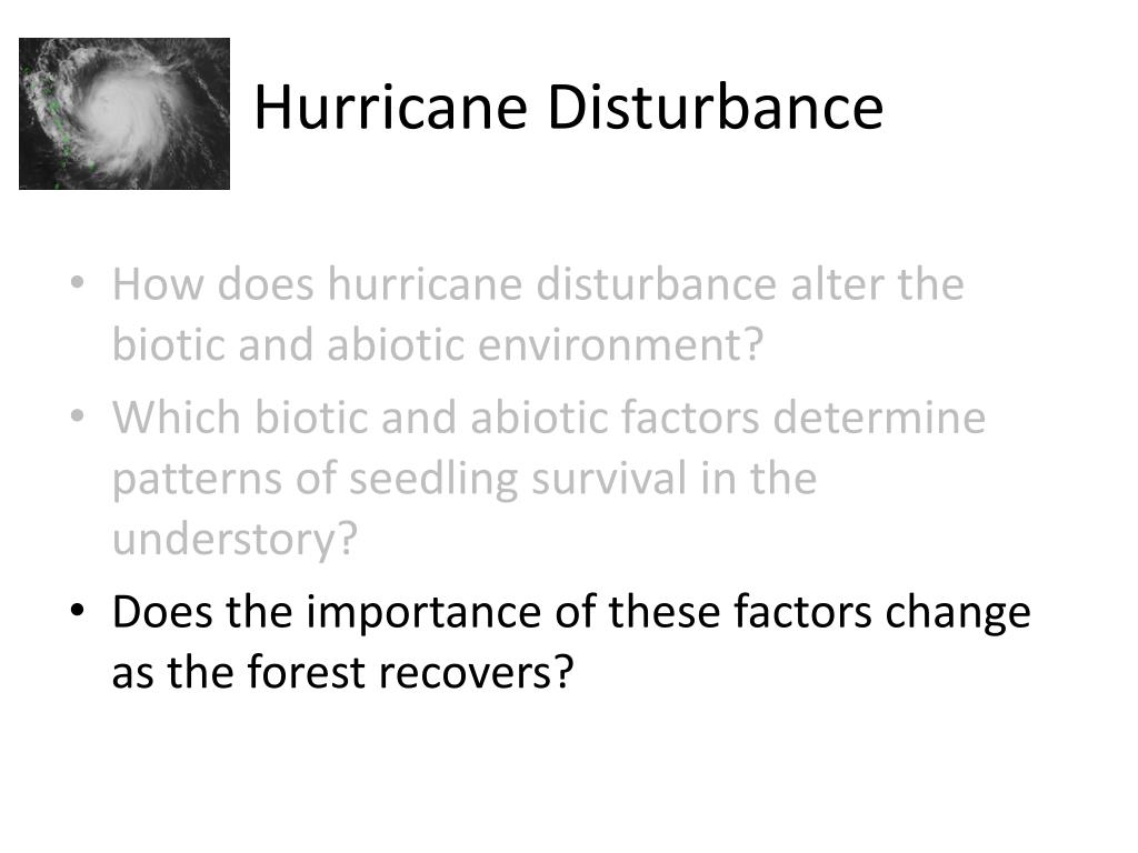 PPT - Dynamics of Seedling Survival in a Hurricane-Impacted Forest ...