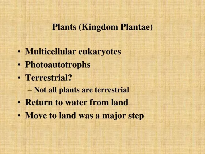 PPT - Plants (Kingdom Plantae) PowerPoint Presentation, free download ...