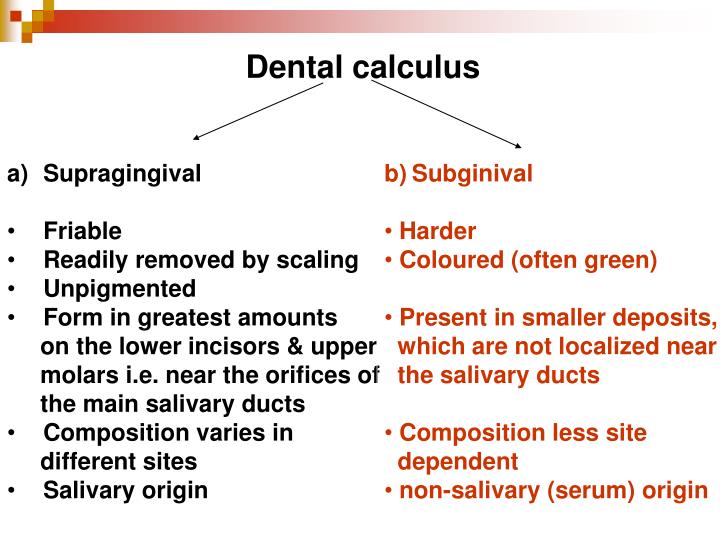 PPT - Calculus PowerPoint Presentation - ID:3122197