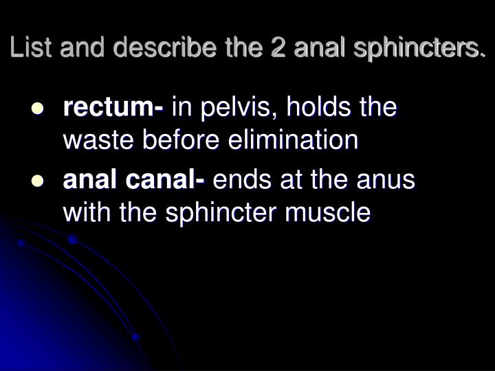 PPT - Chapter 14 Test Review: Digestive System PowerPoint Presentation ...