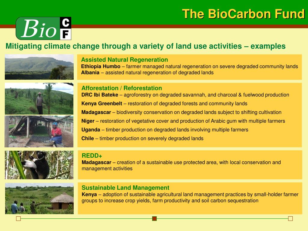 PPT - Harnessing the carbon market to sustain ecosystems and alleviate ...