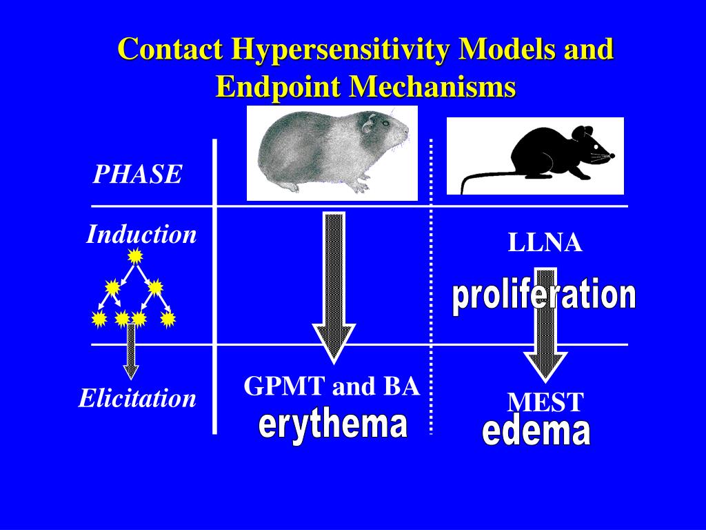 PPT - Immunotoxicity:Contribution of Chemicals to Allergic Disease ...