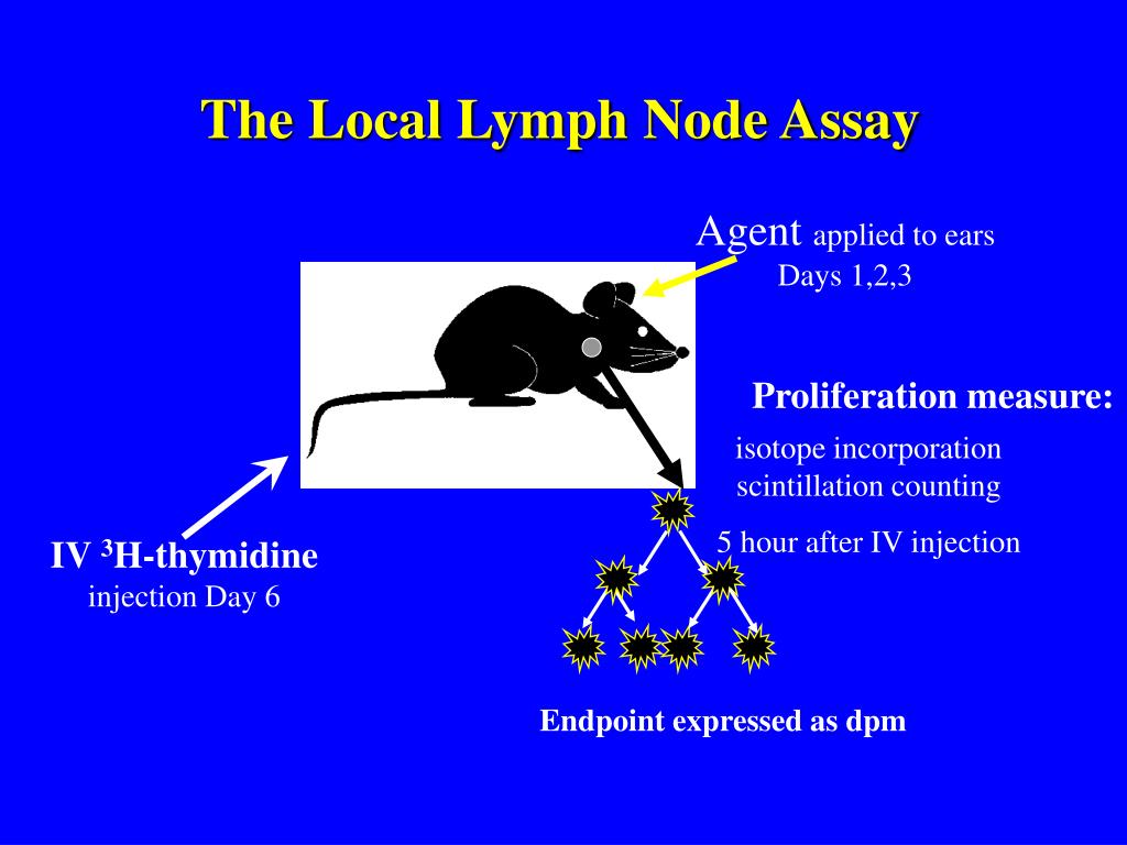 PPT - Immunotoxicity:Contribution of Chemicals to Allergic Disease ...