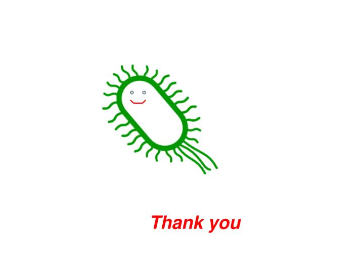 PPT - Good Bacteria PowerPoint Presentation - ID:3125293