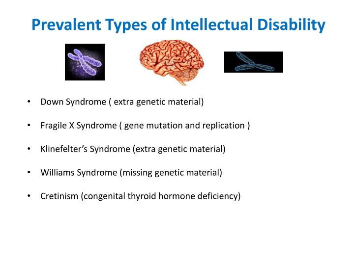 PPT - Common Causes of Intellectual Disabilities PowerPoint ...