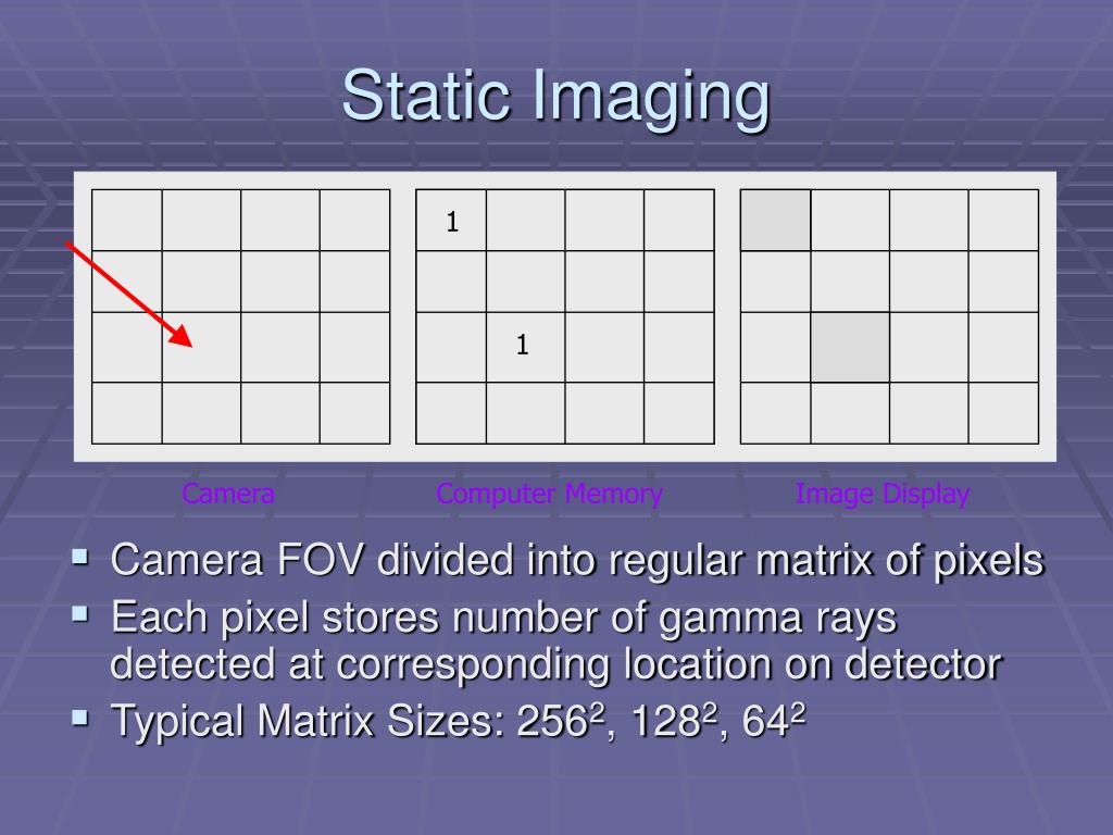 PPT - Nuclear Medicine: Planar Imaging and the Gamma Camera PowerPoint ...