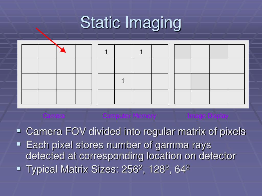 PPT - Nuclear Medicine: Planar Imaging and the Gamma Camera PowerPoint ...