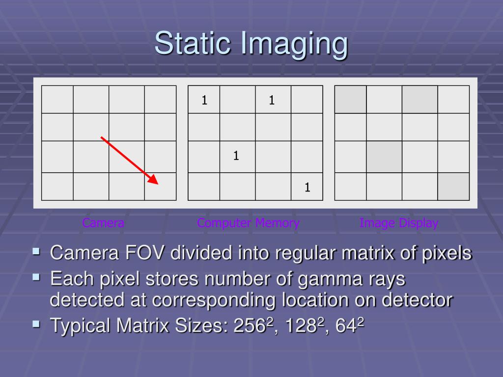 PPT - Nuclear Medicine: Planar Imaging and the Gamma Camera PowerPoint ...