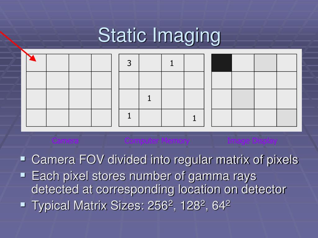 PPT - Nuclear Medicine: Planar Imaging and the Gamma Camera PowerPoint ...