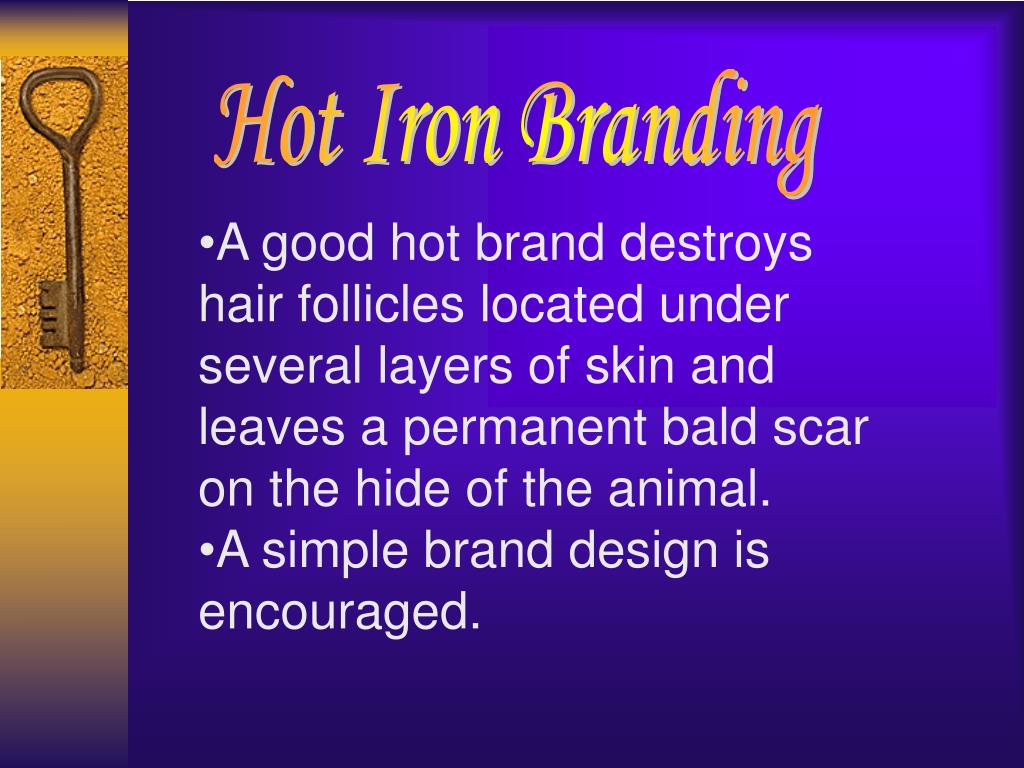 PPT - Equine Branding and Tattooing Techniques PowerPoint Presentation ...