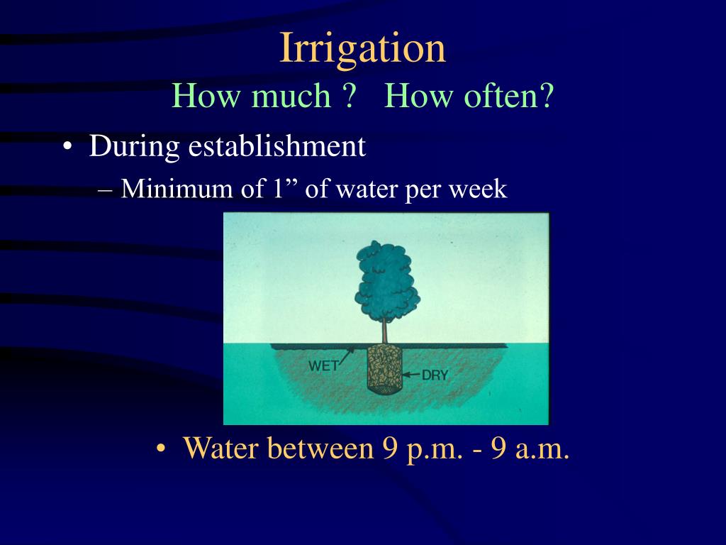 PPT - Presented by Dr. Teri Hamlin Georgia Department of Education ...