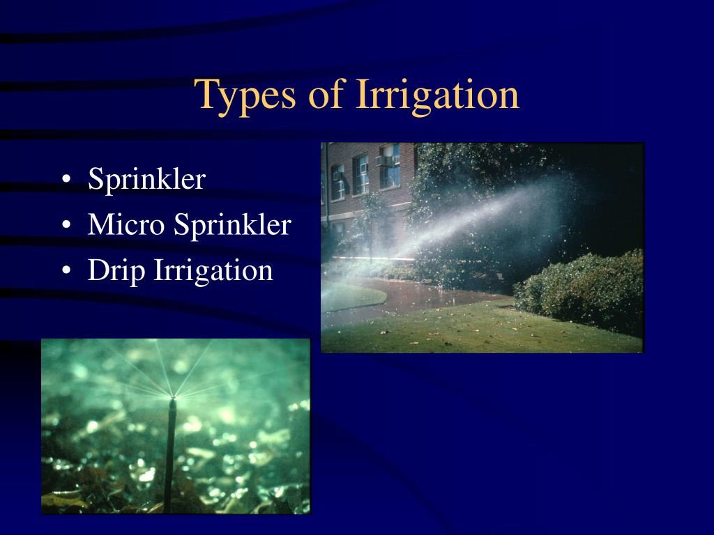 PPT - Presented by Dr. Teri Hamlin Georgia Department of Education ...