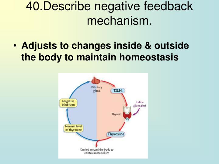PPT - Immune System, Endocrine System, & Nervous System PowerPoint ...