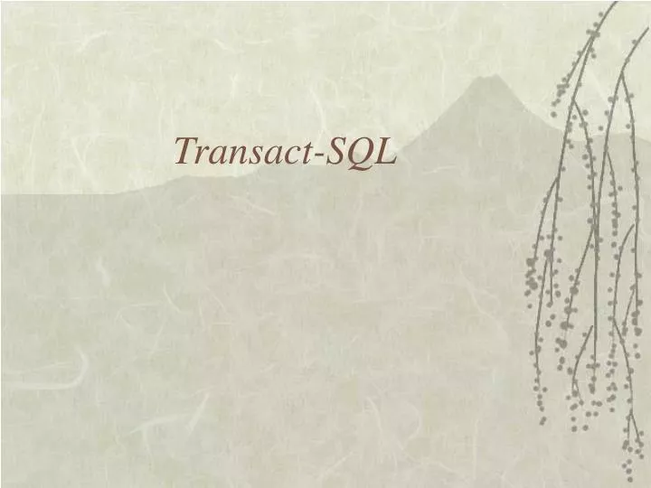 PPT - Transact-SQL PowerPoint Presentation, free download - ID:3126696