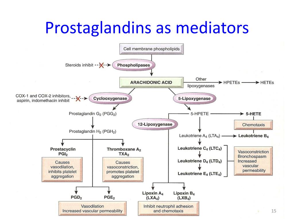 PPT - Pain, Inflammation, NSAIDs and Analgesics PowerPoint Presentation ...