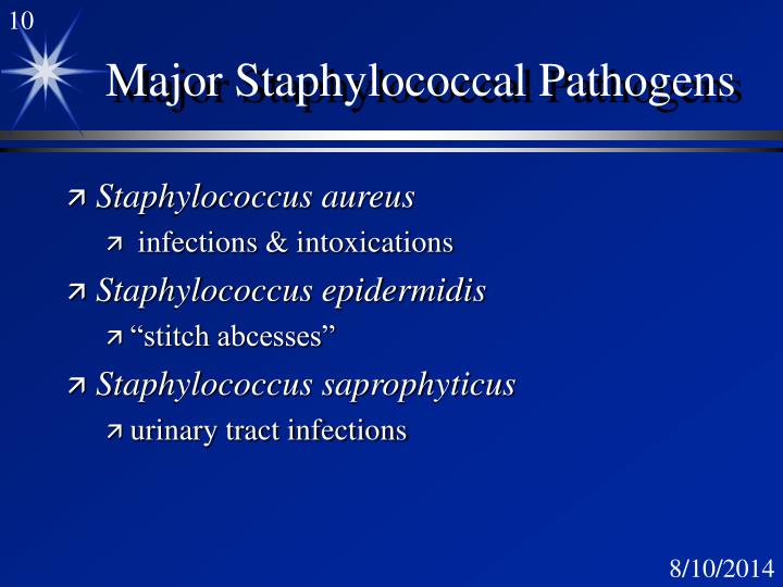 PPT - Staphylococcus PowerPoint Presentation - ID:3126904