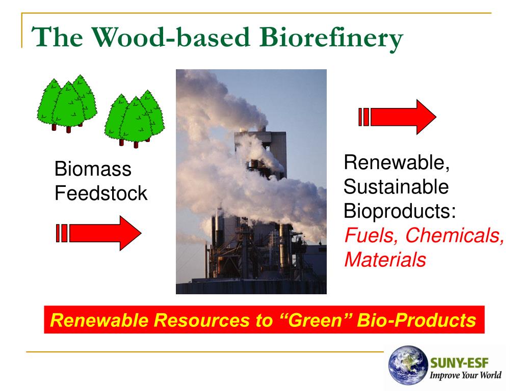 PPT - The Biorefinery in New York: Woody Biomass into Commercial ...