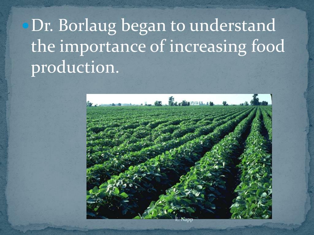 PPT - Norman Borlaug was a plant scientist who saved millions of lives ...