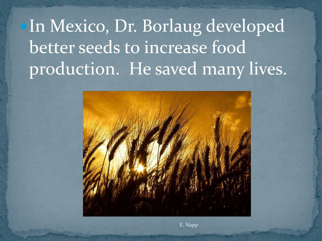 PPT - Norman Borlaug was a plant scientist who saved millions of lives ...