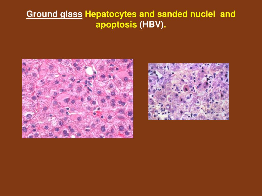 Ppt Exam Review Powerpoint Presentation Free Download Id3128655