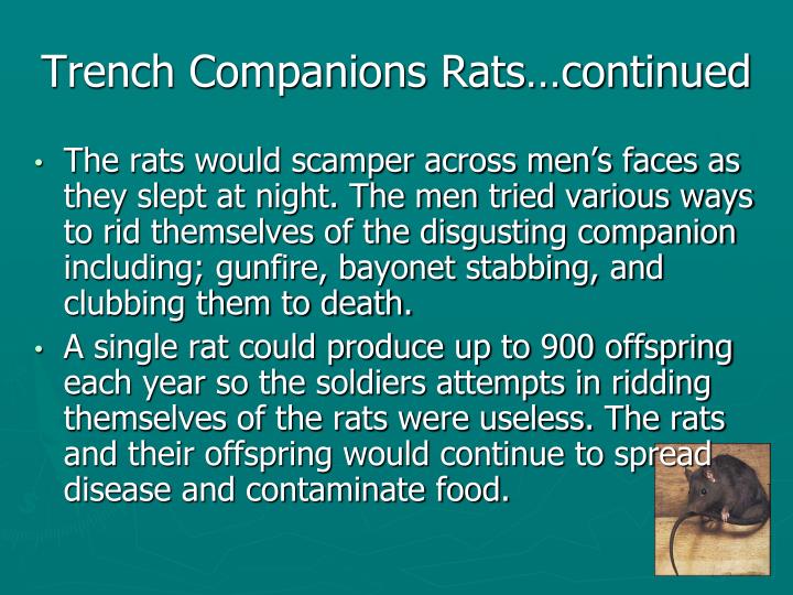 PPT - World War One PowerPoint Presentation - ID:3128801