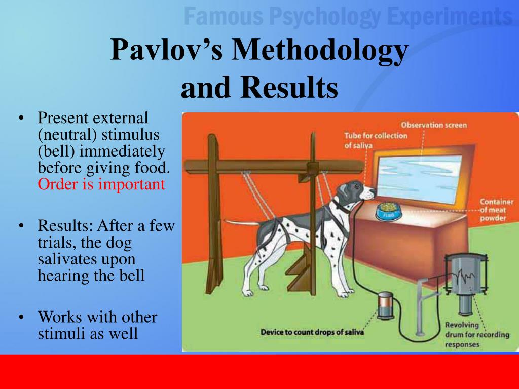 Ppt Famous Psychology Experiments Powerpoint Presentation Free