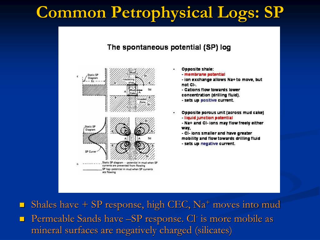 PPT - Dr. Tark Hamilton Camosun College PowerPoint Presentation, free ...