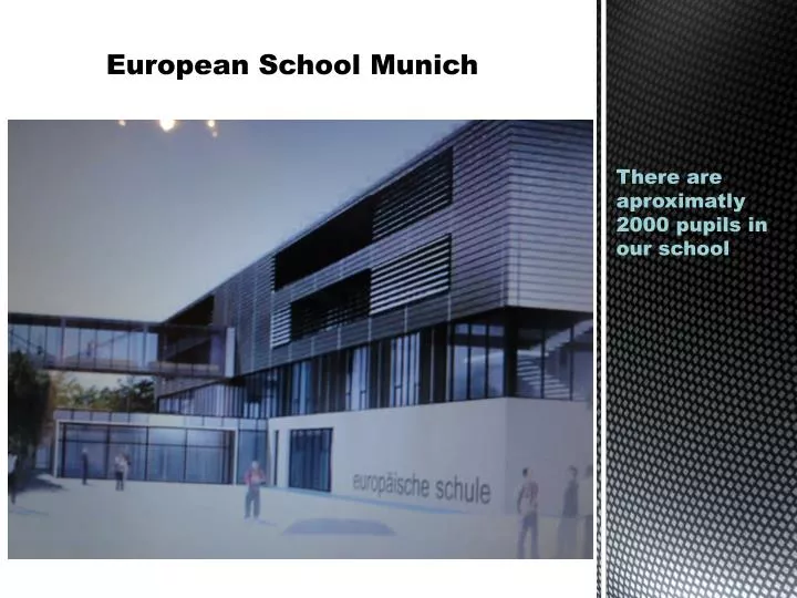 PPT - European School Munich PowerPoint Presentation, free download ...