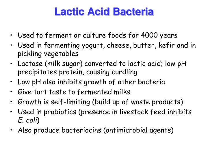 PPT - THREE TYPES OF FOOD FERMENTATION PowerPoint Presentation - ID:3129655