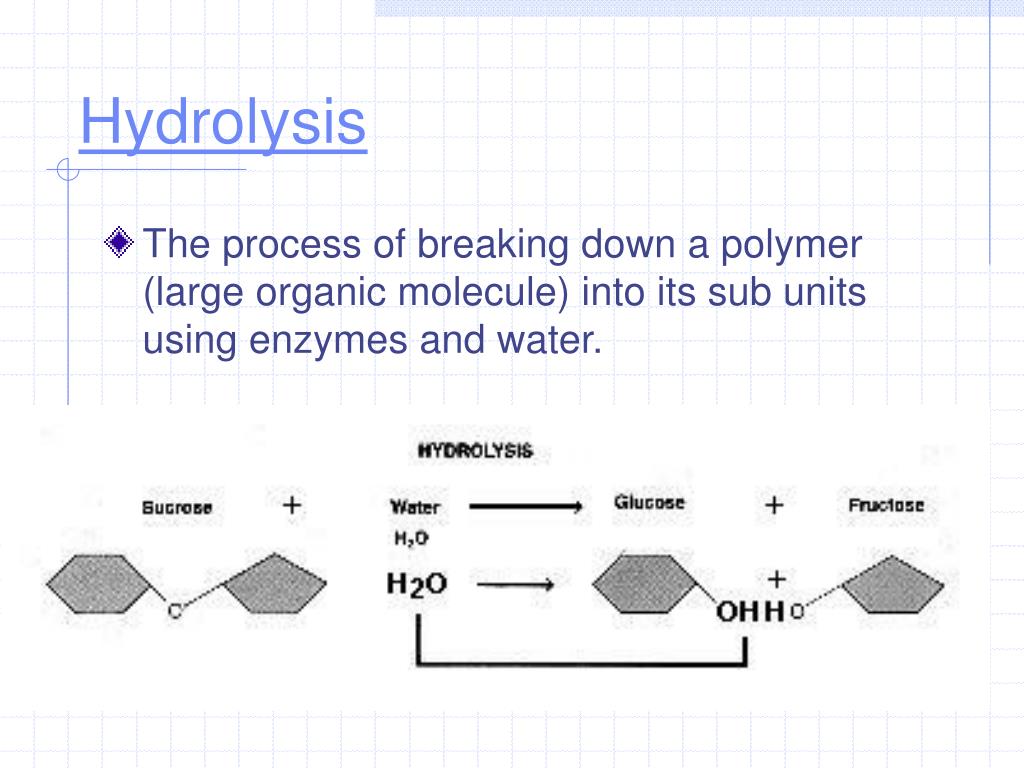 PPT - Bio-Molecules : Organic compounds containing Carbon PowerPoint ...