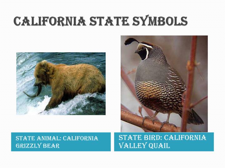 PPT - California PowerPoint Presentation - ID:3130097