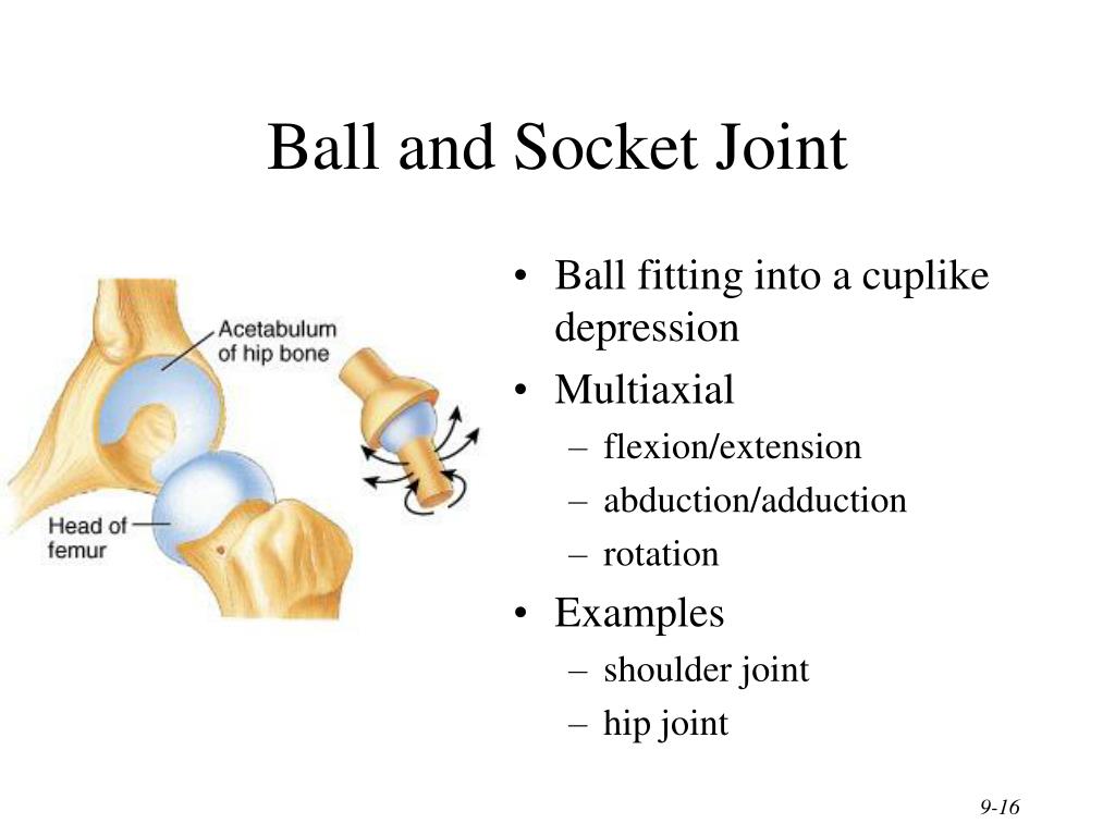PPT - Chapter 9 Joints PowerPoint Presentation, free download - ID:3130113 PPT - Chapter 9 Joints PowerPoint Presentation, free download - ID:3130113