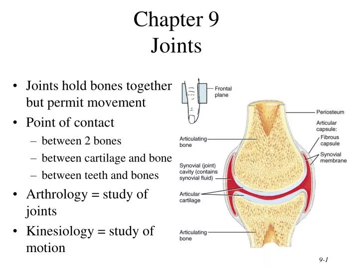PPT - Chapter 9 Joints PowerPoint Presentation, free download - ID:3130113