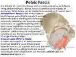 PPT - Pelvic Walls PowerPoint Presentation - ID:3130183
