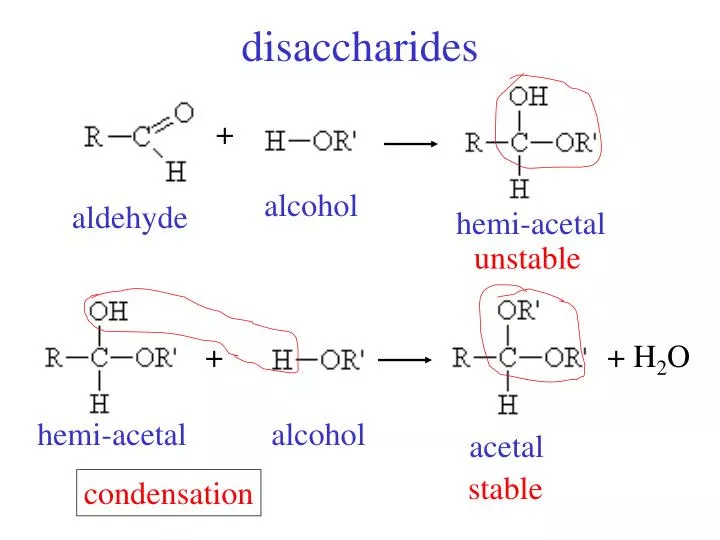 PPT - disaccharides PowerPoint Presentation, free download - ID:3130370