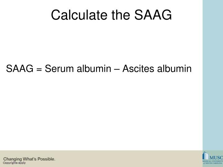 PPT - Paracentesis PowerPoint Presentation - ID:3131011