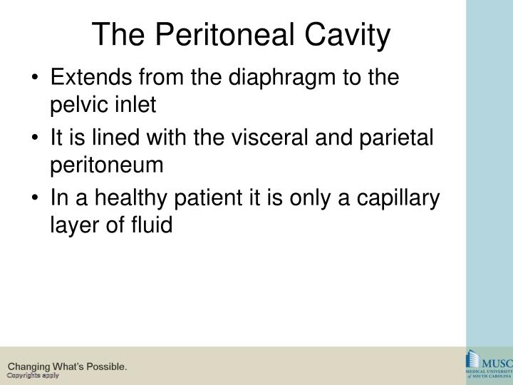 PPT - Paracentesis PowerPoint Presentation - ID:3131011