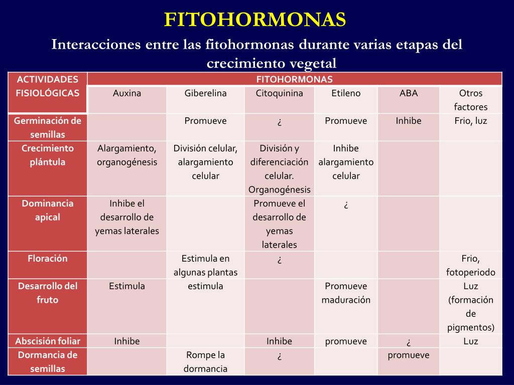PPT - Fitohormonas y regulación del crecimiento PowerPoint Presentation ...