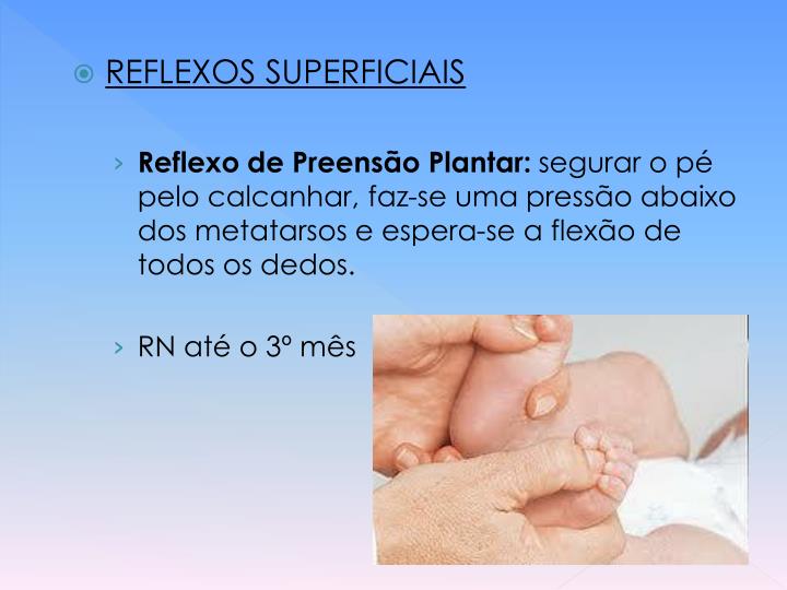 PPT - Profª Mchilanny Bussinguer de Menezes Terapeuta Ocupacional ...