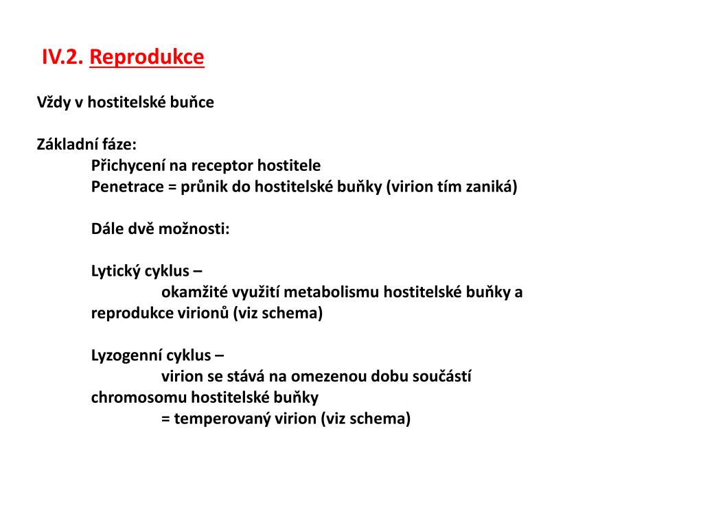 PPT - I. PŘEHLED OKRUHŮ: Obecná mikrobiologie (historie, bakterie ...