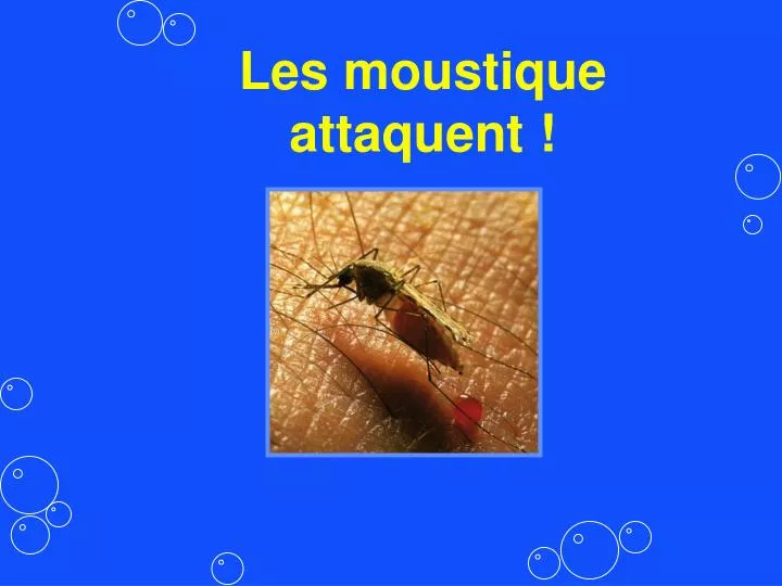 PPT - Les moustique attaquent ! PowerPoint Presentation, free download ...