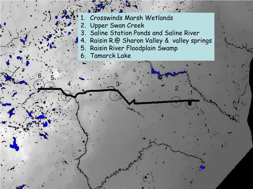 PPT - Crosswinds Marsh Wetlands Upper Swan Creek Saline Station Ponds ...