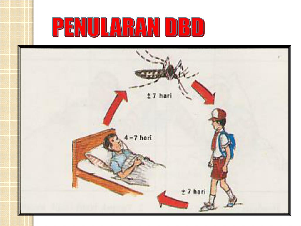 PPT - PENANGGULANGAN PENYAKIT DBD DI KABUPATEN BLITAR PowerPoint ...