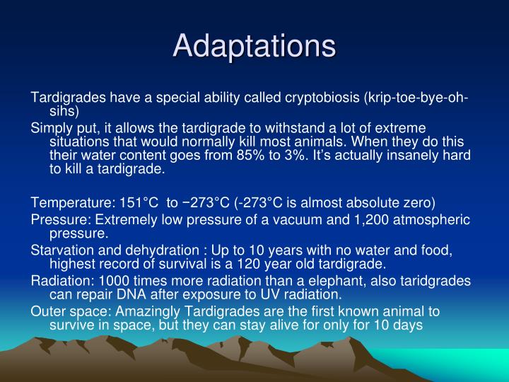 PPT - Tardigrades PowerPoint Presentation - ID:3135692