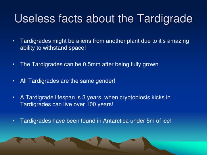 PPT - Tardigrades PowerPoint Presentation - ID:3135692