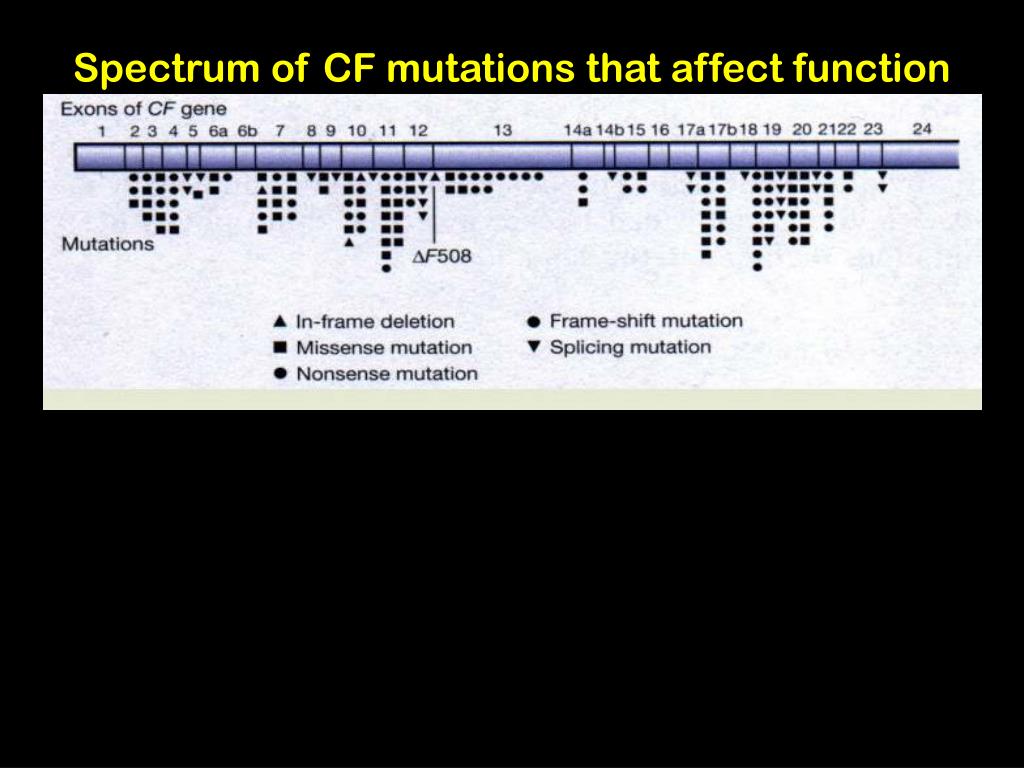 PPT - Molecular medicine 2 CYSTIC FIBROSIS and some other examples ...
